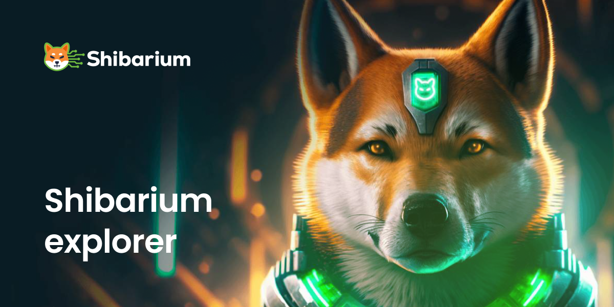 Shibarium Stats Shibarium Network Insights Blockscout